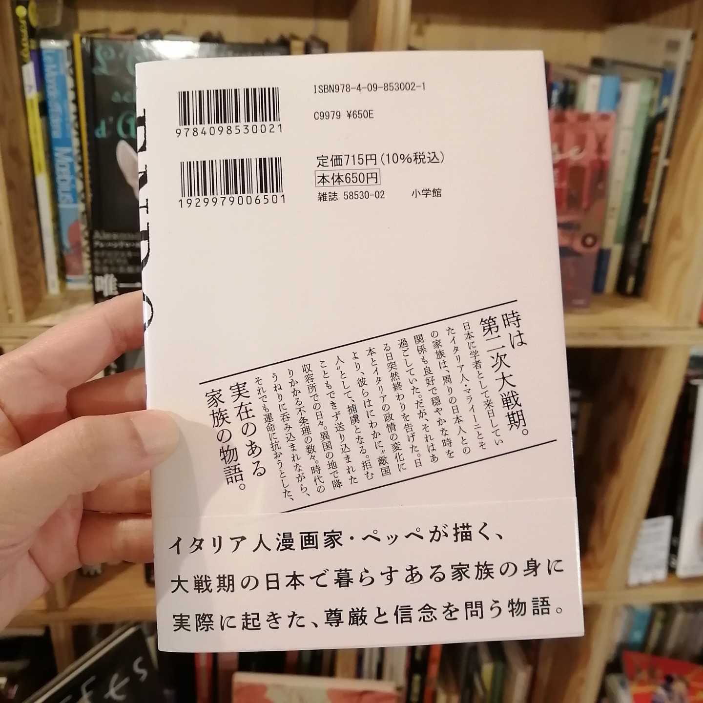 島田虎之介 (@Shimatorax@mstdn.jp) - mstdn.jp