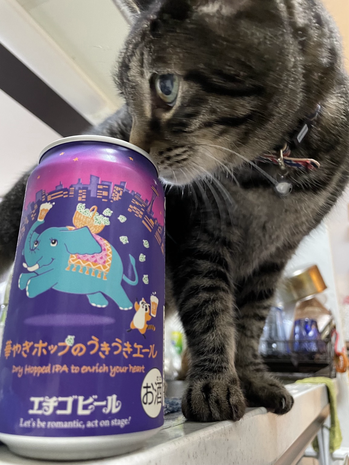 AOE, Takashi (@aoetk@fedibird.com) - Fedibird